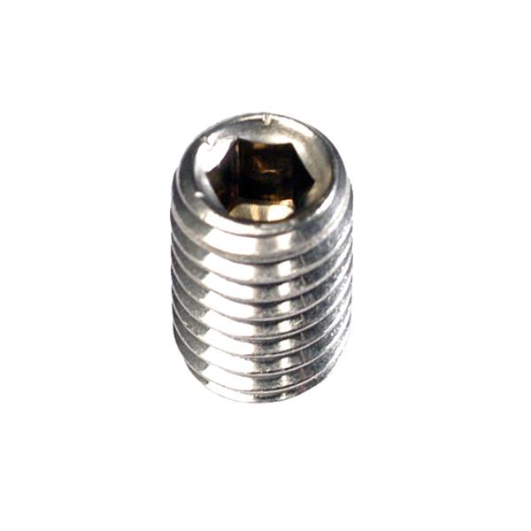 Champion M8 x 8mm Metric Grub Screw 316/A4 -10pk - Buy Tools Online
