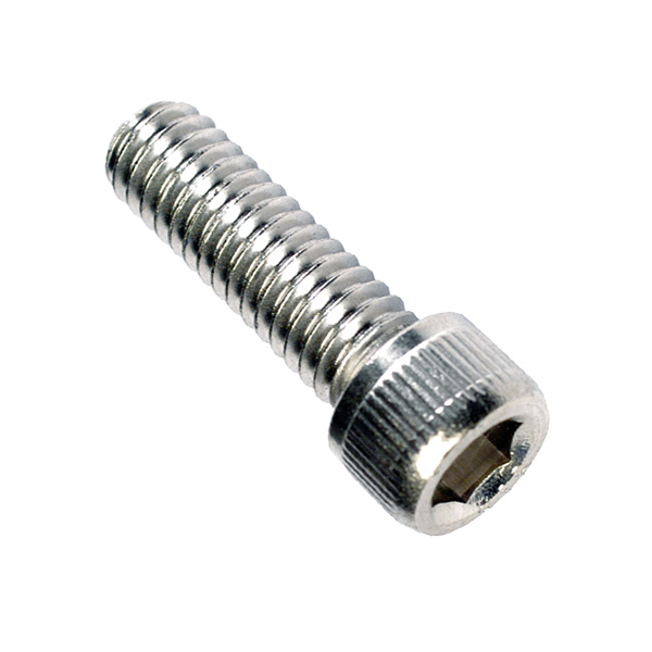 Champion M10 x 25mm Socket Cap Screw 316/A4 -4pk - Buy Tools Online
